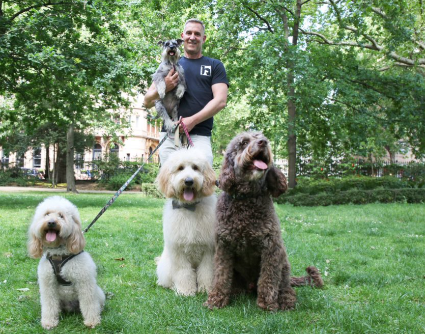 Green Paws: A Guide to Sustainable Pet Ownership – The Hound Hut Limited